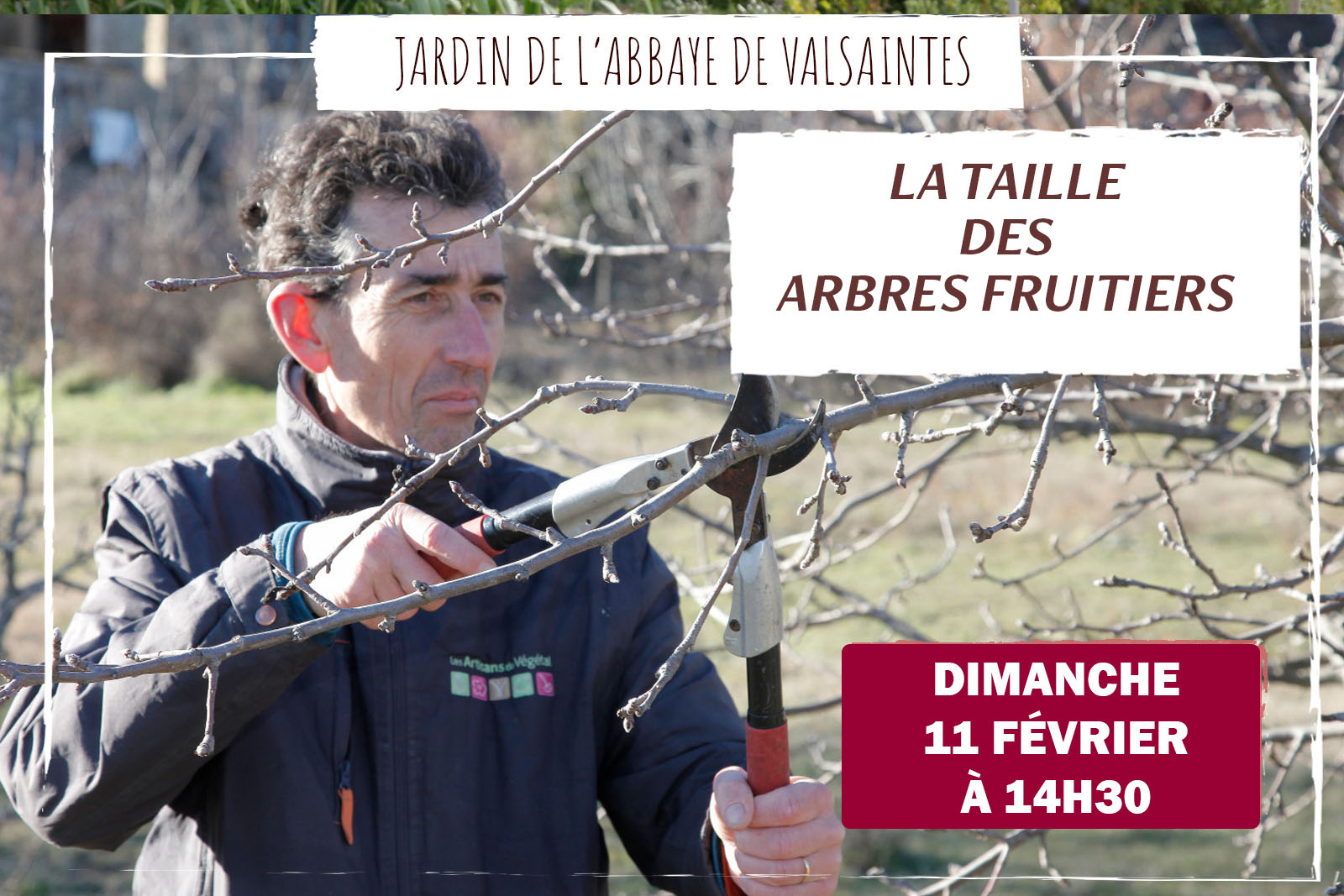 La taille des arbres fruitiers - Le Jardin de l'Abbaye de Valsaintes